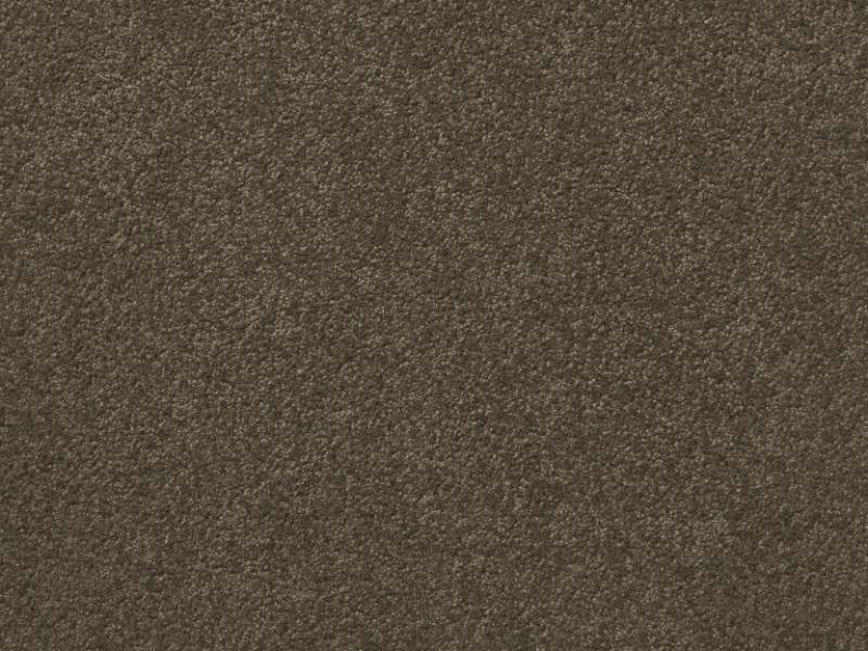 Solution Dyed Nylon Cinder Carpet Empire Brown Belgotex 1
