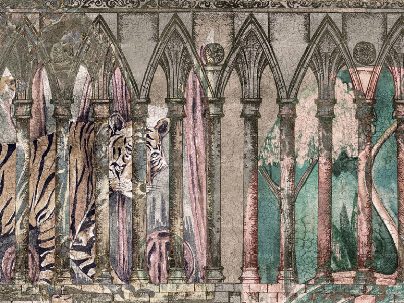 Nature Blue Brown Mural Walls Beyond Astonishing Creatures O