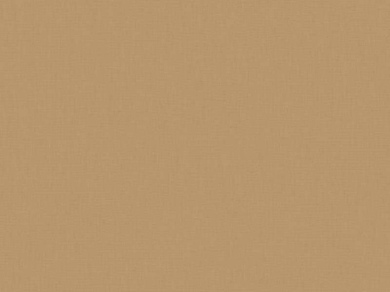 Plain Brown Wallpaper Caselio BAI64522578 Basics 1