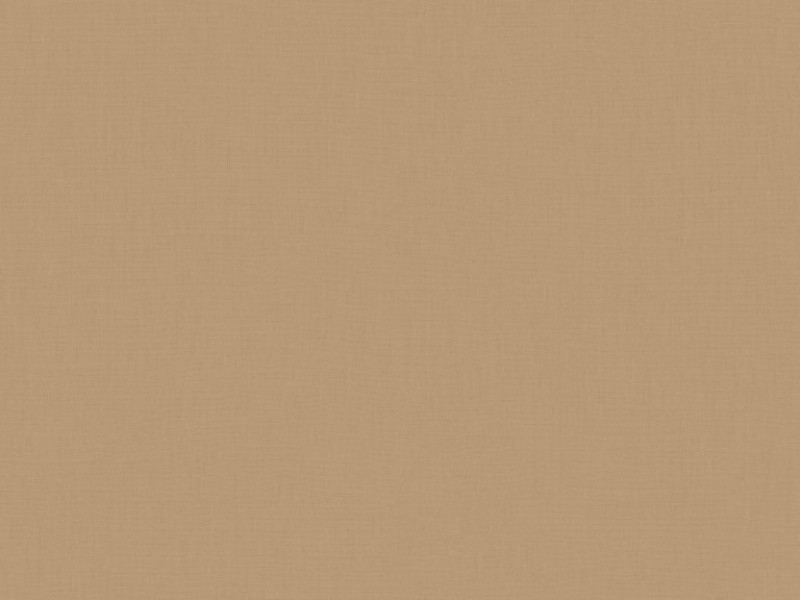Plain Brown Wallpaper Caselio BAI64524344 Basics 1