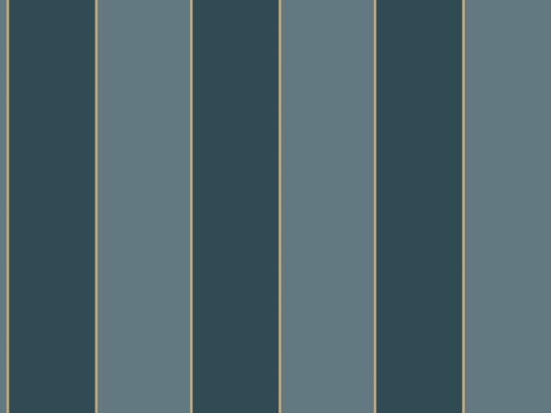 Striped Blue Wallpaper Caselio BAI101076659 Basics 1