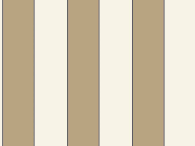 Striped Brown Wallpaper Caselio BAI101070217 Basics 1