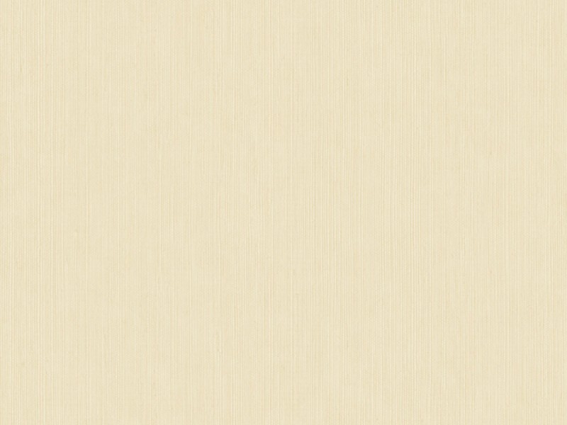 Textured Plain Cream Neutral Beige Wallpaper Caselio MMT1060